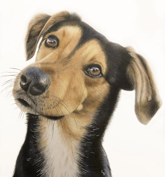 Monthly challenge February 2023 – Epsom and Ewell Art Group